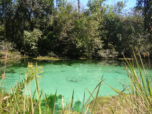 SENGÉS - Paraná TurismoParaná Turismo