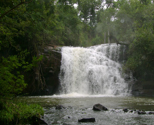 RONCADOR - Paraná TurismoParaná Turismo