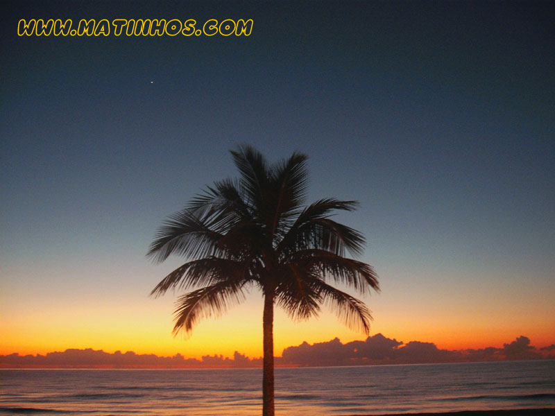 MATINHOS - Paraná TurismoParaná Turismo